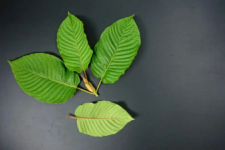 Understanding Kratom Dosage: A Comprehensive Guide - KratomIQ™