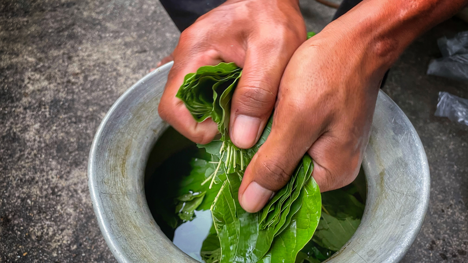 Understanding Kratom Tea